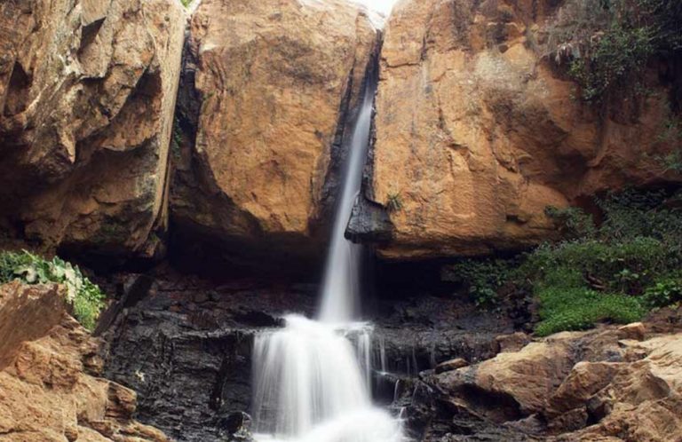 places to visit in coonoor - Top 10 Coonoor tourist places